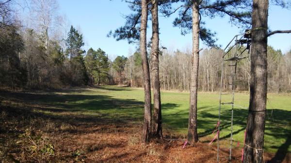 McKenna Ranch - Testimonials